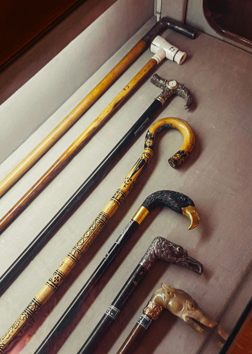 The Best Walking Sticks for Young Adults – Flipstick UK